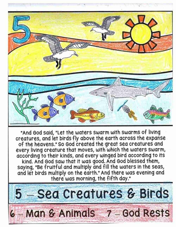 7 Days of Creation Bible Craft: Engaging "In the Beginning" Flip book ...
